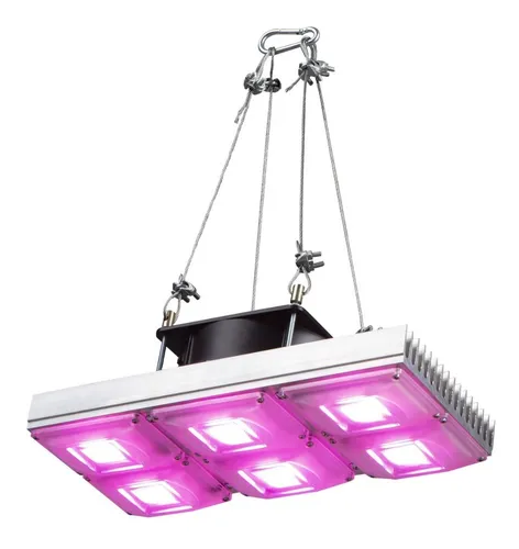 Mi proyecto web - GITHUB