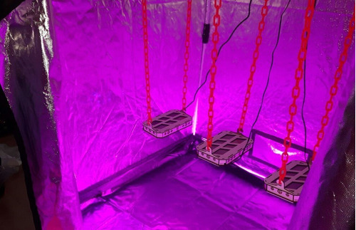 Mi proyecto web - GITHUB